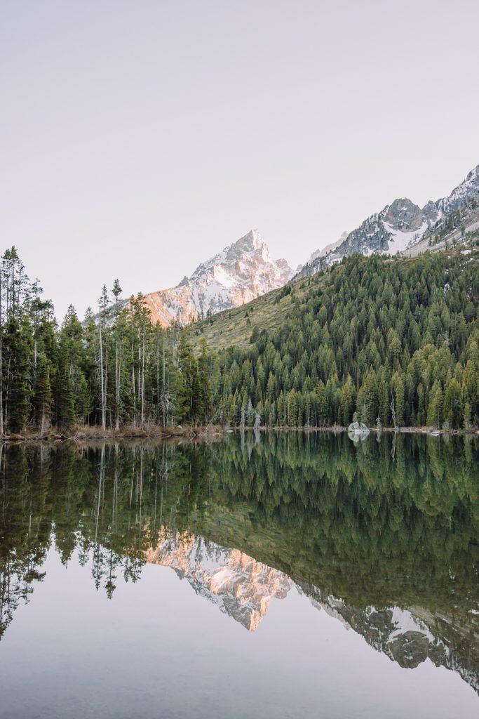 Jackson Hole Spring Wedding in Grand Teton National Park - Janelle & Co ...